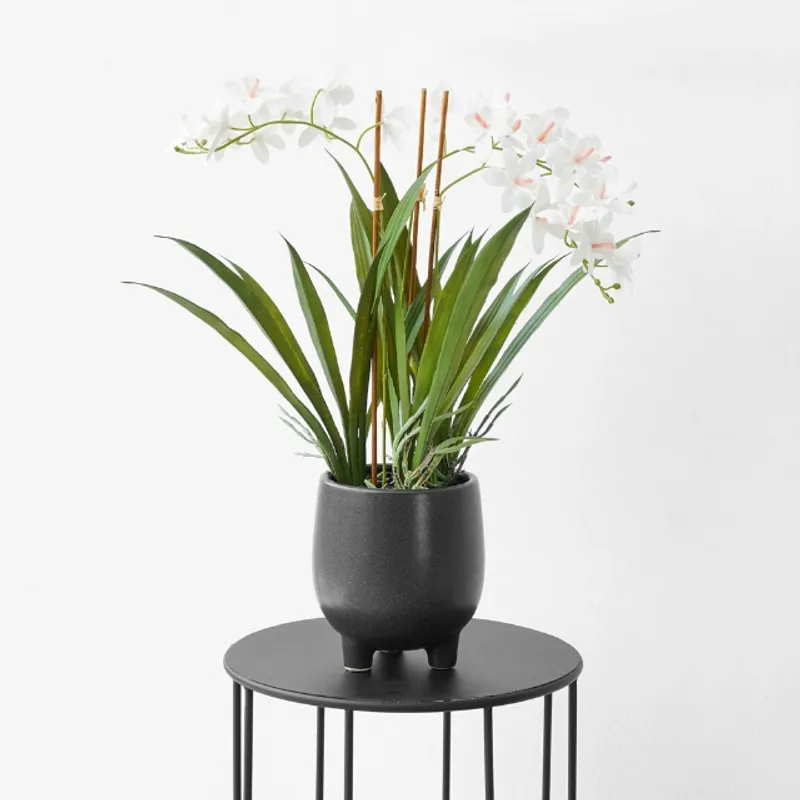 Jual Informa Bunga Artifisial 60 Cm Anggrek Putih Terbaik | Informa