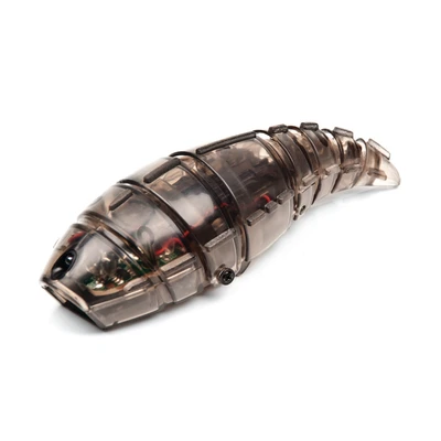 Jual Hexbug Larva 020908 Random