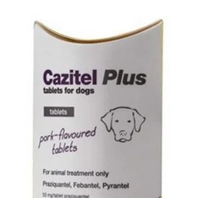Jual Zoetis Obat Cacing Anjing Cazitel Plus Terbaru | Ruparupa