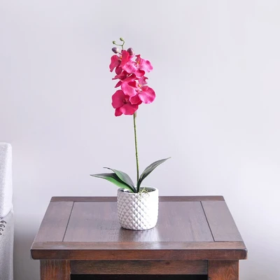 Jual Arthome 34 Cm Tanaman Artifisial Bunga Anggrek Dengan Pot Keramik ...