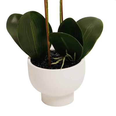 Jual Informa Bunga Artifisial 66 Cm Anggrek Ungu Terbaru | Ruparupa