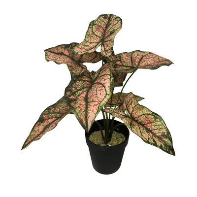 Jual Arthome 45 Cm Tanaman Artifisial Color Taro Pink Terbaru | Ruparupa
