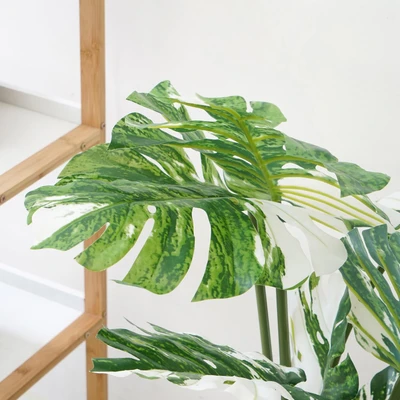 Jual Arthome 90 Cm Tanaman Artifisial Monstera Putih Terbaru | Ruparupa