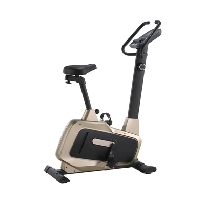 Jual Kinetic Sepeda Statis Magnetic 608 Bzh Hitam Gold Terbaru | Ruparupa