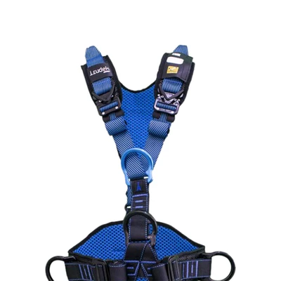 Jual Irudek Harness Full Body 5 D Ring Wind 3 S M Biru Terbaru | Ruparupa
