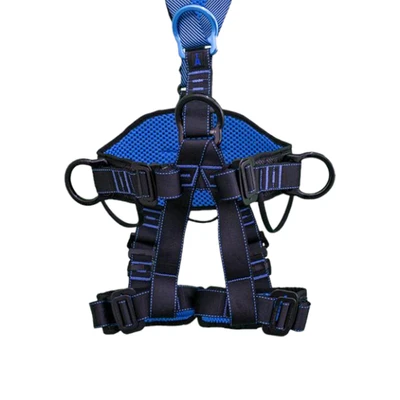 Jual Irudek Harness Full Body 5 D Ring Wind 3 S M Biru Terbaru | Ruparupa