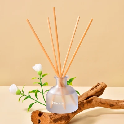 Jual Breathe 50 Ml Coastal Breeze Reed Diffuser Terbaru | Ruparupa