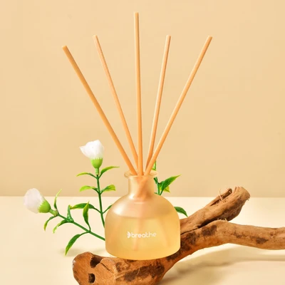 Jual Breathe 50 Ml Vanilla Enchantment Reed Diffuser Terbaru | Ruparupa
