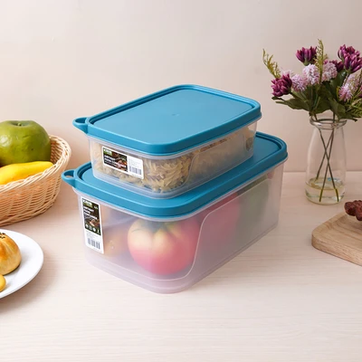 Jual Kris Wadah Makanan Rectangle 4.2 Liter - Hijau Terbaru | Ruparupa