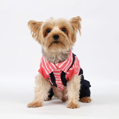 Jual Doggy Dolly Ukuran S Baju Jumper Anjing Stripe Merah Terbaru | Ruparupa
