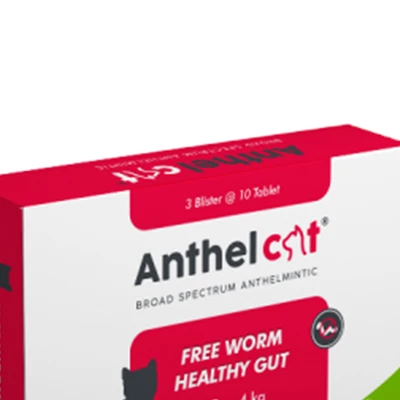 Jual Anthel Obat Cacing Kucing Terbaru | Ruparupa