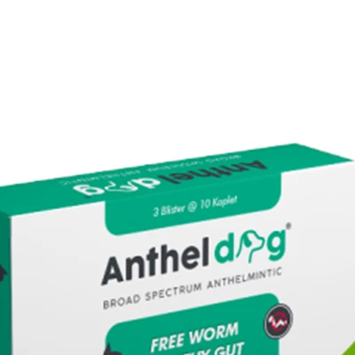 Jual Anthel Obat Cacing Anjing Terbaru | Ruparupa