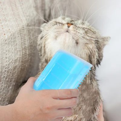 Jual Pet Kingdom Sisir Kucing Terbaru | Ruparupa