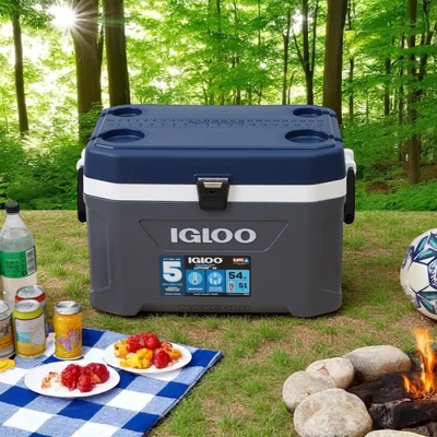 Jual Igloo 51 Ltr Maxcold Cooler Box Biru Original | AZKO