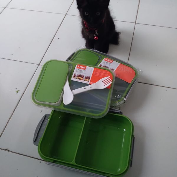 Jual Kris 1 1 Ltr Kotak Makan Hijau Terbaru | Ruparupa