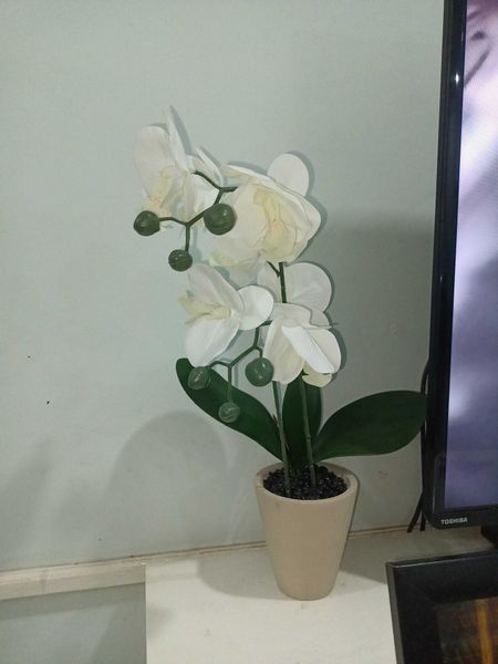 Jual Informa Bunga Artifisial 56 Cm Anggrek Putih Terbaik | Informa