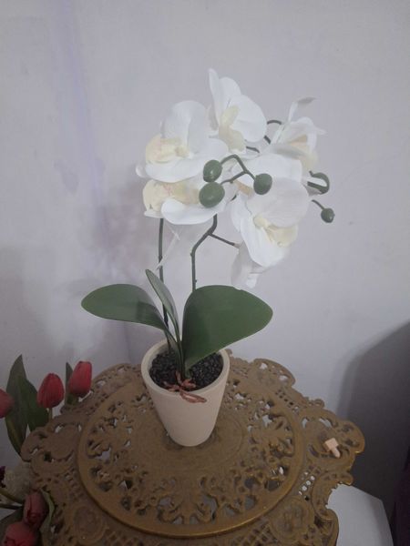 Jual Informa Bunga Artifisial 56 Cm Anggrek Putih Terbaik | Informa