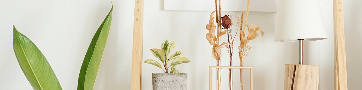 Menata Rumah Lebih Rapi | ACE Online