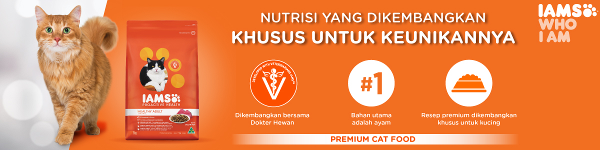 Official Store Online IAMS > Original Bergaransi | Ruparupa